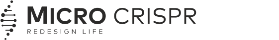 Micro CRISPR | Bilakhia Holdings